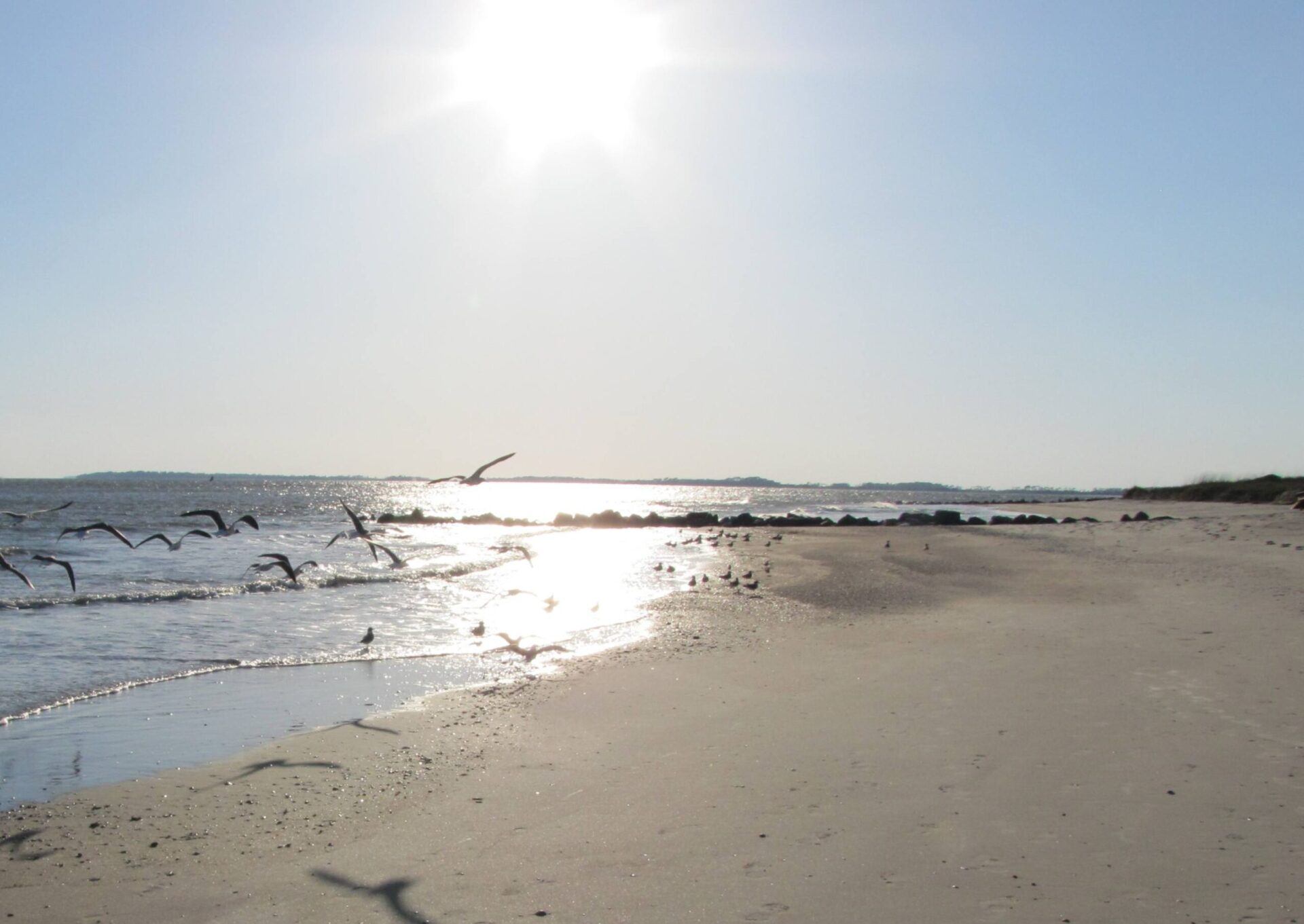 Edisto Beach, A Place for Lovers - EdistoBeach.com