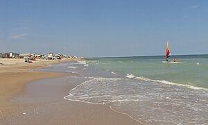 5 Things to Remember While Visiting Edisto Beach - EdistoBeach.com